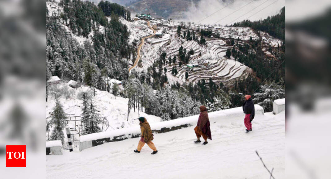 Cold weather intensifies in Himachal; Manali, Kufri shiver at sub-zero ...