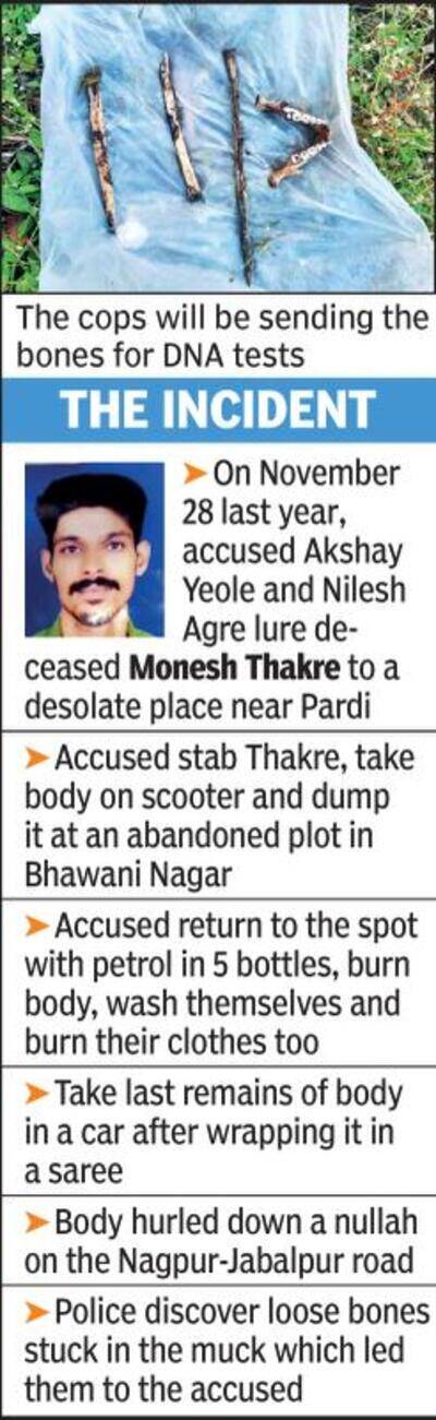Quizzing suspects over 69 days, cops crack murder case | Nagpur News ...