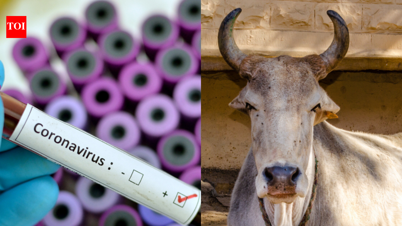 Coronavirus outbreak: Beware of these dangerous myths about the virus