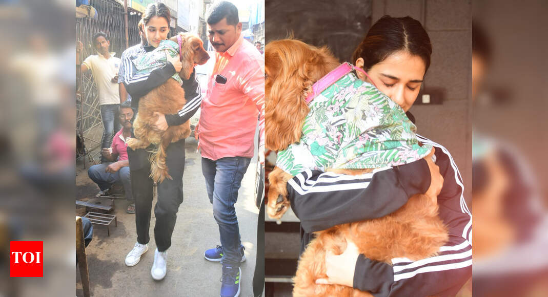 Photos: Disha Patani’s pet dog Bella accompanies her to dance class and ...