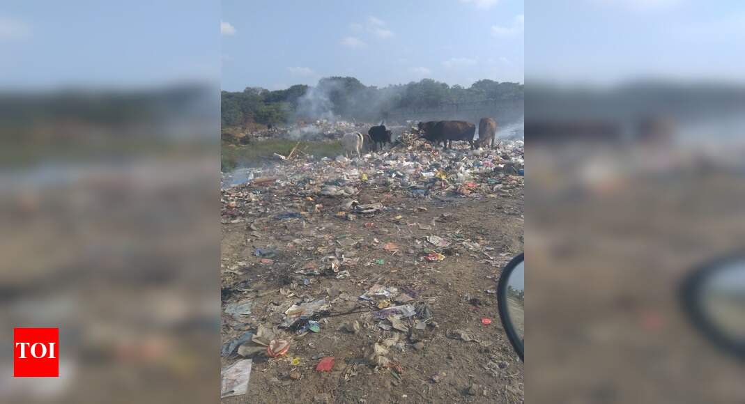 Save Mudichur Lake - Times of India