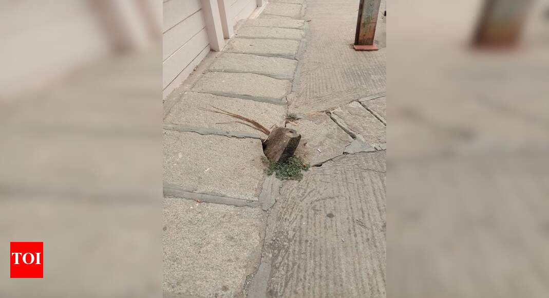 Sharp stone poses physical hazard - Times of India