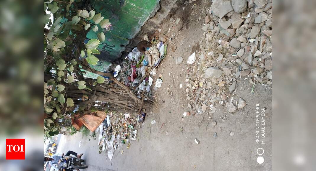 Throwing garbage in the streets - Times of India