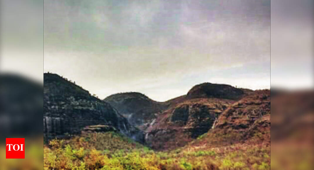 Marathwada witnessed over 700 forest fires in last 4 years ...