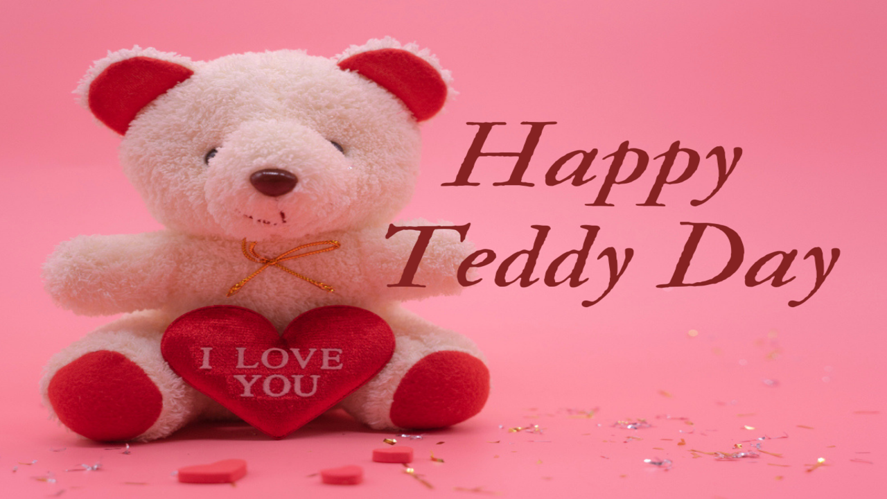 Teddy day today store
