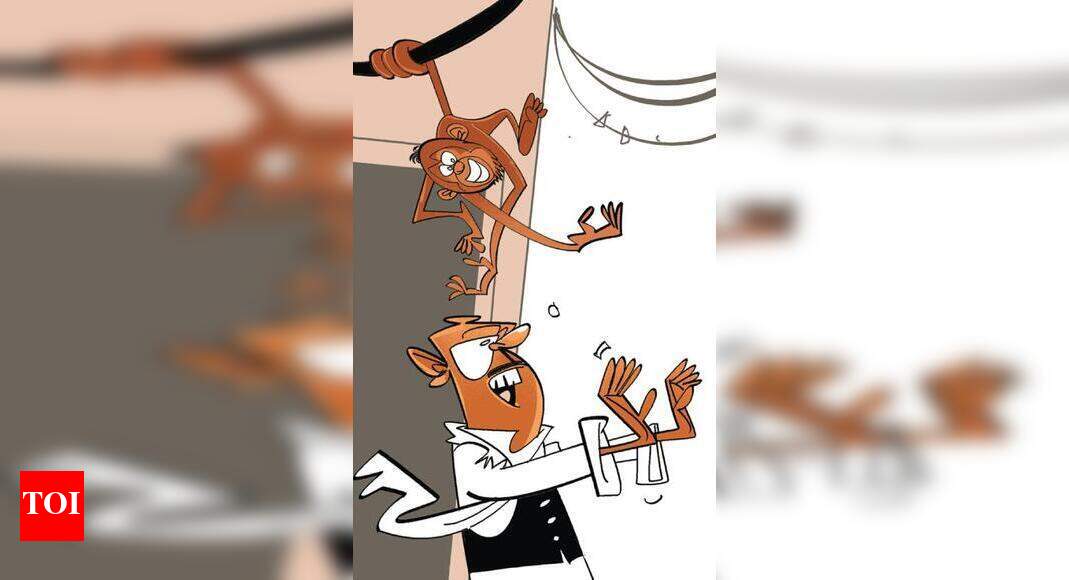 Kin of nilgai, monkey attack victims too to get compensation | Nagpur ...