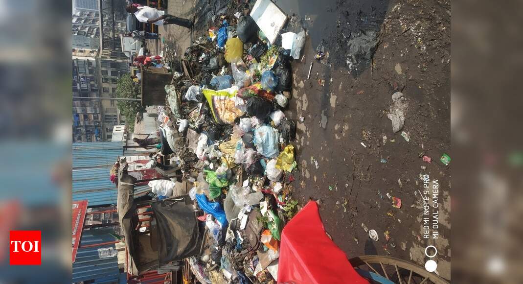 Garbage pilled up infront of a school - Times of India