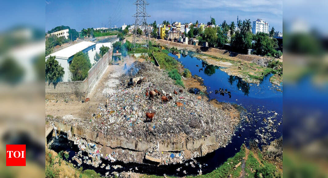 Tamil Nadu: Tankers continue to dump sewage into Cooum river | Chennai ...