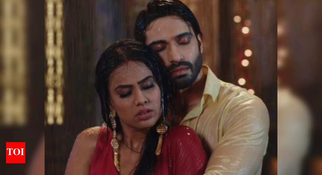 Naagin 4 update, February 8: Madhav learns Brinda is Manyata’s daughter ...