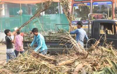 Green solution for temple waste | Kochi News - Times of India