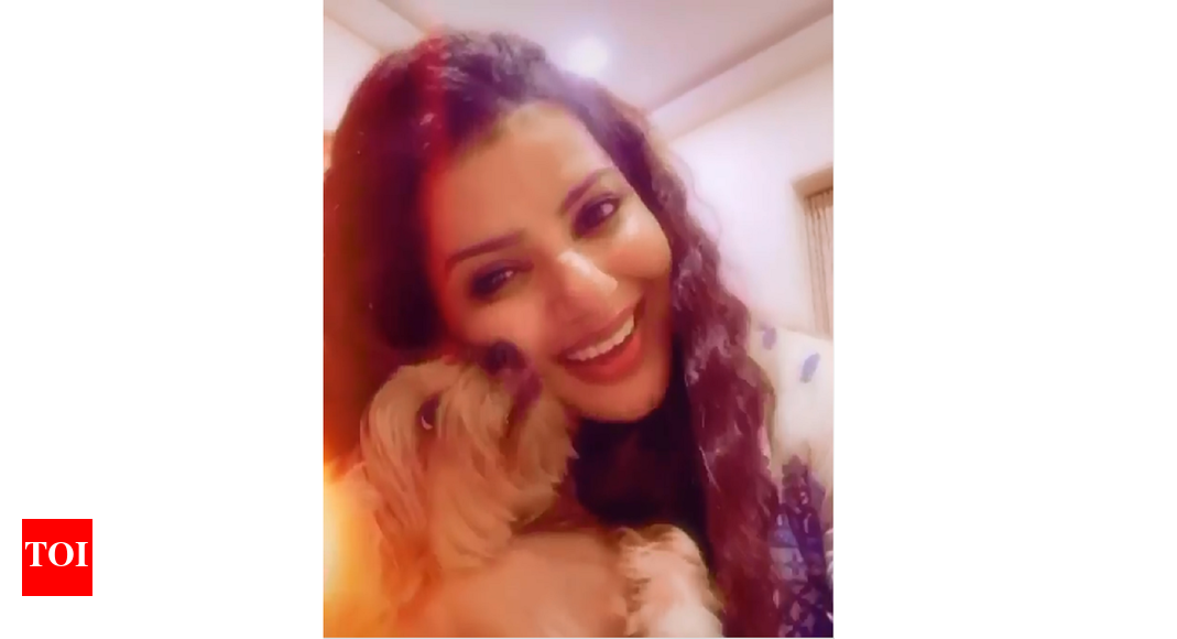 Madhu Sharma’s adorable video with cute pet dog is winning hearts ...