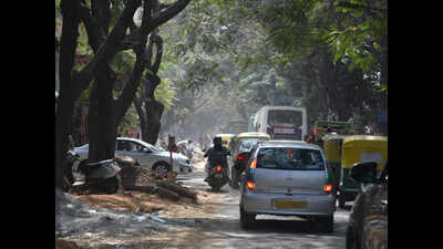 After residents, traffic cops irked by slow pace of work on Margosa ...