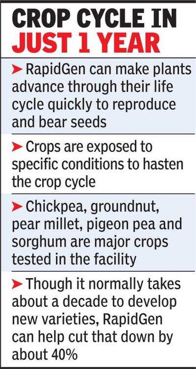 Short crop cycle to help reduce ecological impact | Hyderabad News ...