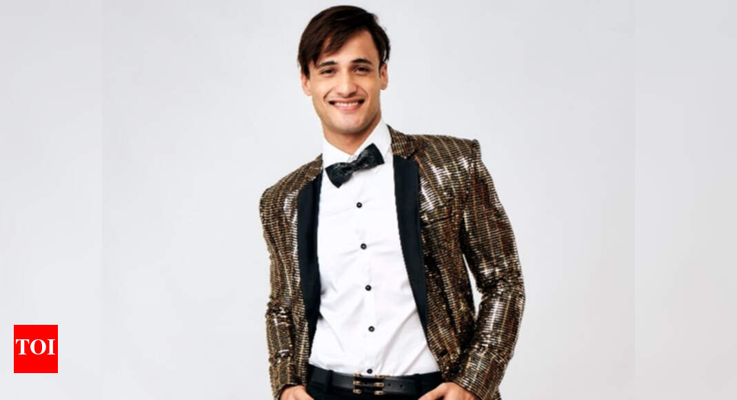 Bigg Boss 13 winner: Reasons why Asim Riaz deserves to win the show ...