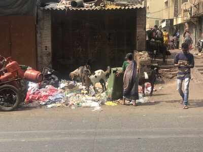 garbage near Juhu lane, Andheri West - Times of India