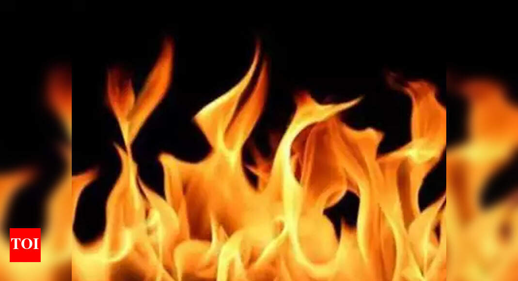 Death toll in Kappalur fire accident rises to four | Madurai News ...