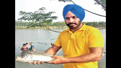 Punjab: Fish earn this farmer Rs 15 lakh per year | Amritsar News ...