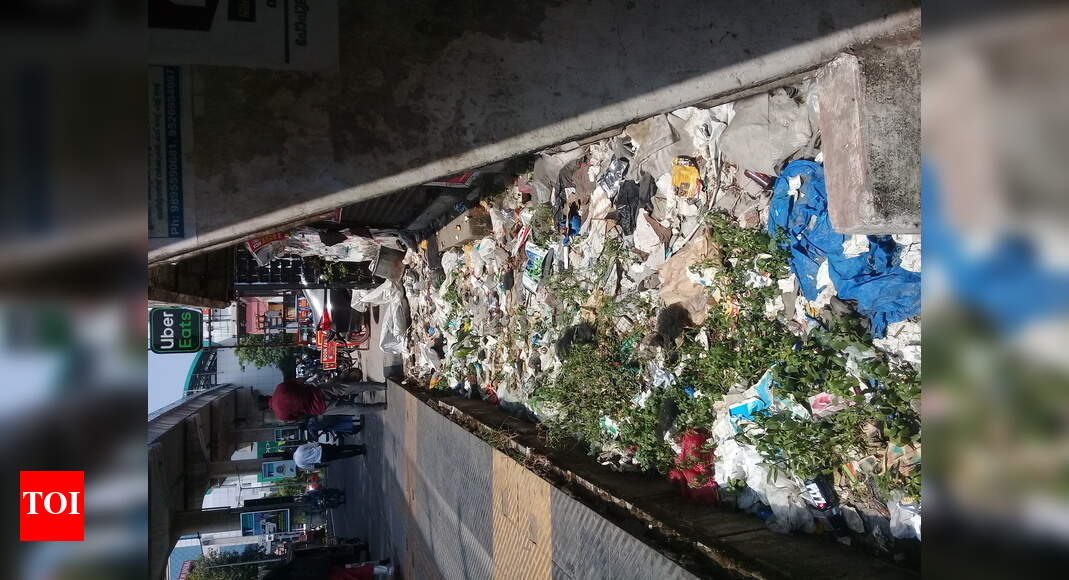 hand-made garbage pits - The Times of India