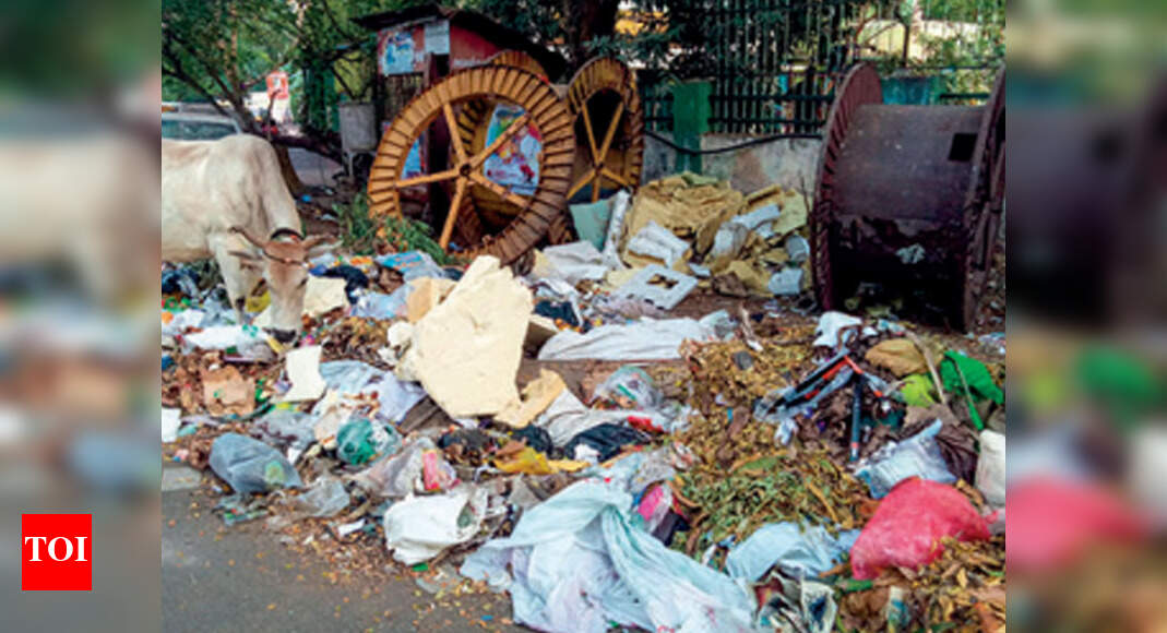 Chennai: Garbage piles up near Amma canteen | Chennai News - Times of India