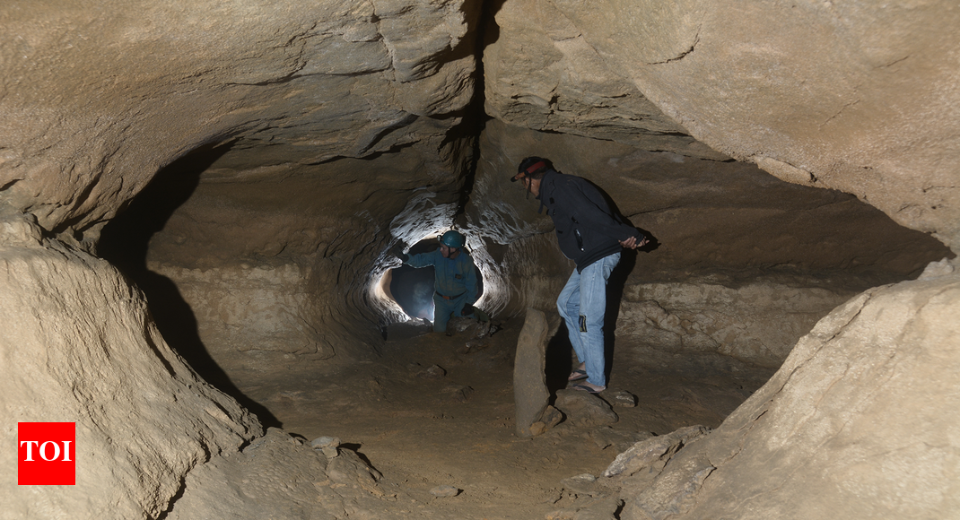 How world found its biggest cave fish in Meghalaya - Times of India