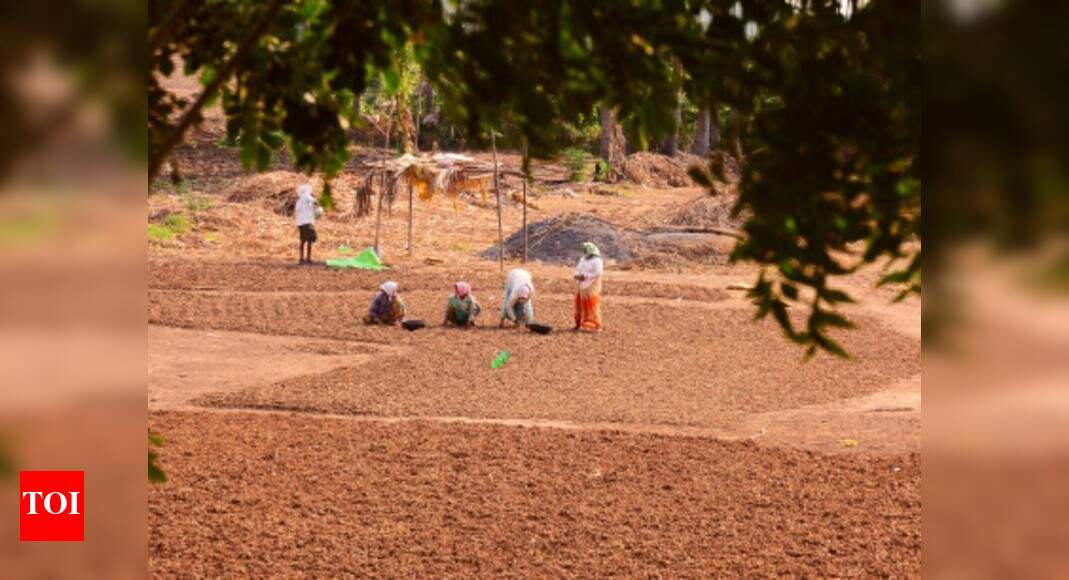 Revamped crop insurance scheme brings single peril risk cover ...