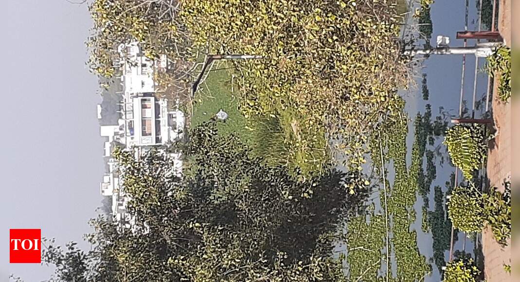 DIMINISHING GLORY OF SAFILGUDA LAKE PARK - Times of India