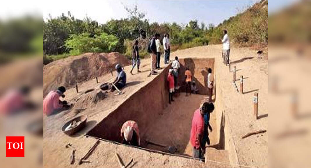Neolithic ash-mound found in Tamil Nadu for first time | Chennai News ...