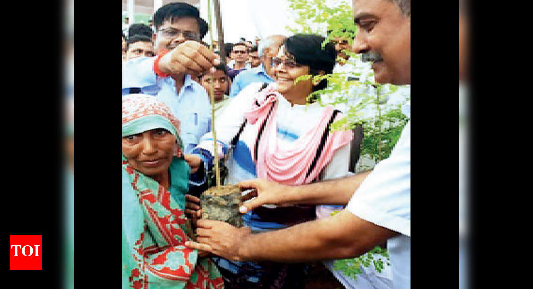 Bundeli women sow seeds of self-reliance with neem | Lucknow News ...