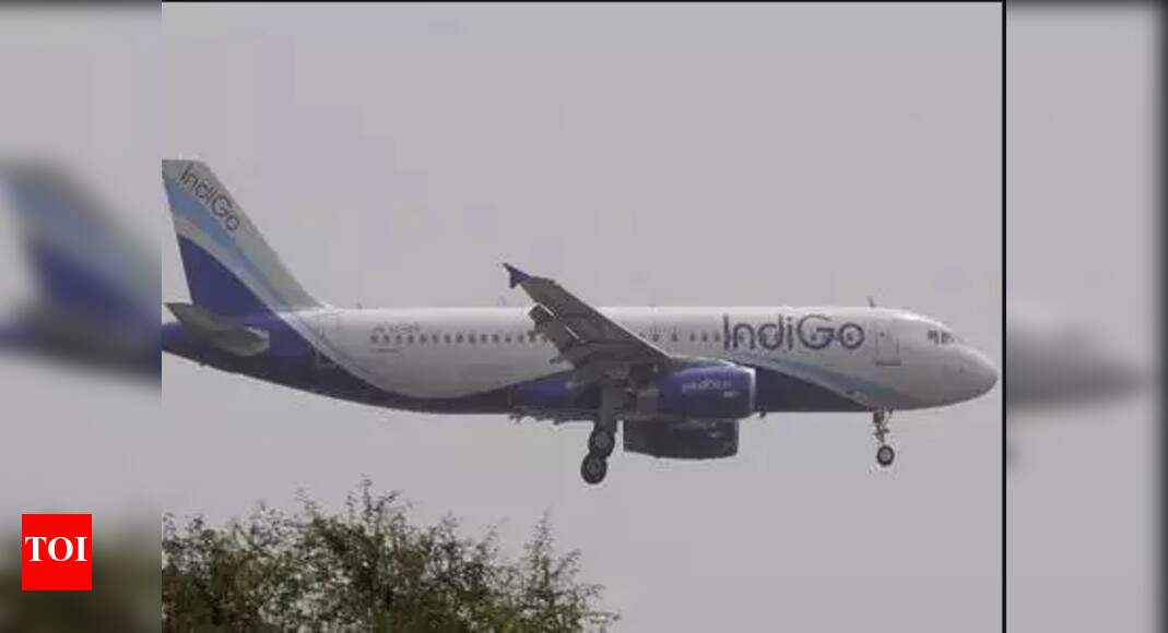 IndiGo in talks with Jetstar, Qantas for codeshare partnership - Times ...