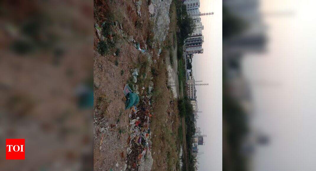 Save Gopanpally Lake - Times of India