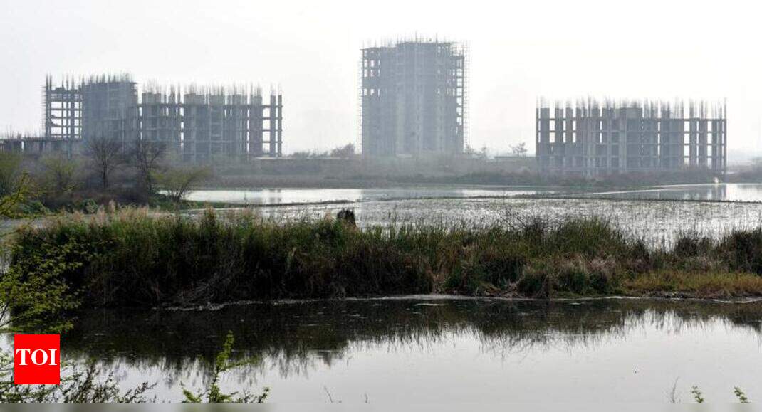 Gurugram: Why realty projects on Najafgarh basin face flood risk ...