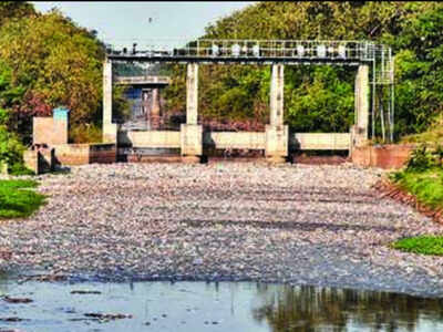 Little sets apart Vijayawada canals and dumpyards | Vijayawada News ...