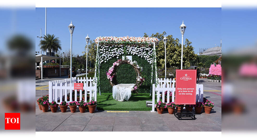 A green initiative to celebrate love for Earth at Delhi mall | Delhi ...