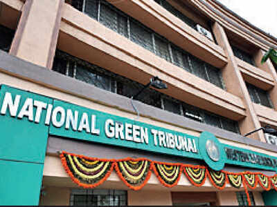 Eyes on SC relief to resume work at NGT bench | Pune News - Times of India