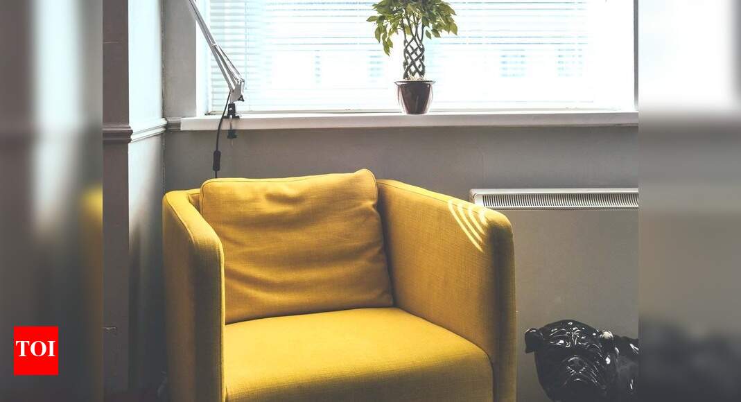 Easy chairs: The comfortable chair style your home needs - Times of India