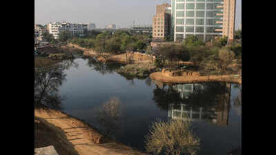 GMDA ropes in private firms for Sikanderpur lake revival | Gurgaon News ...