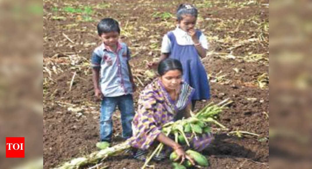 Coimbatore collector orders officials to issue crop loss certificates ...