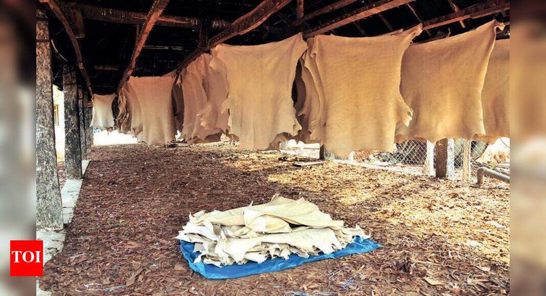 10 days after reopening, tanneries closed again | Kanpur News - Times ...