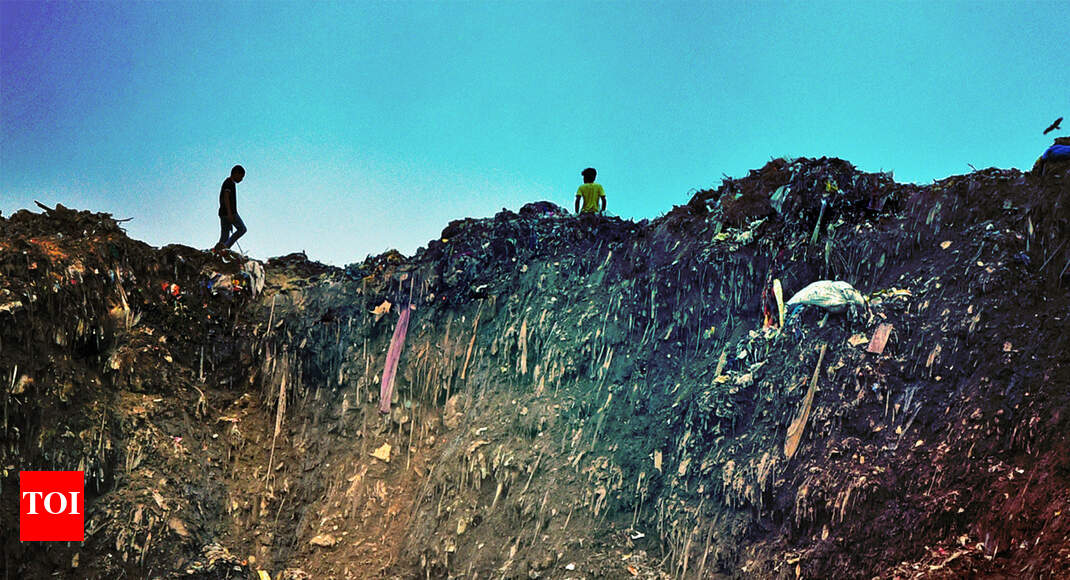 In 30 years, India tipped to double the amount of waste it generates ...
