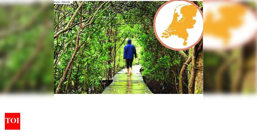 Niksen: The Dutch Art Of Doing Nothing - Times of India