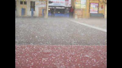 Heavy rain, hailstorm lash Rajasthan districts, damage crops | Jaipur News - Times of India
