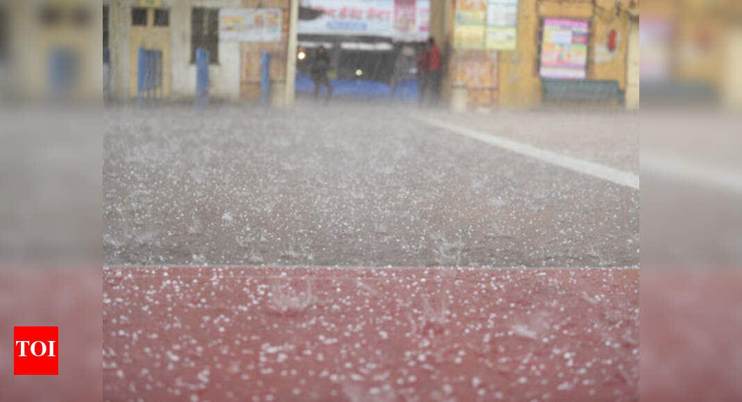 Heavy rain, hailstorm lash Rajasthan districts, damage crops | Jaipur News - Times of India