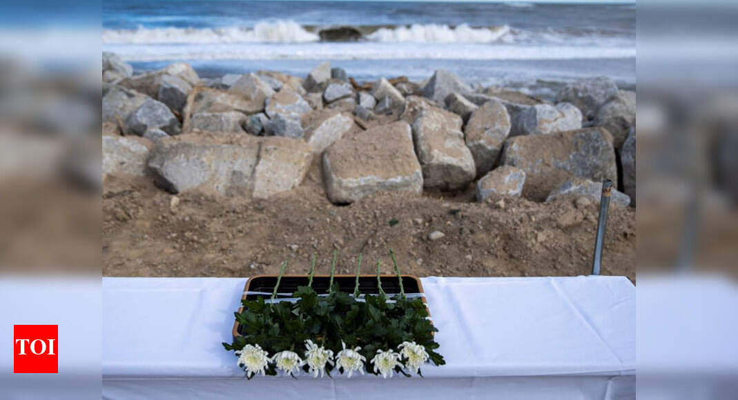Japan marks tsunami anniversary, no govt memorial amid coronavirus ...