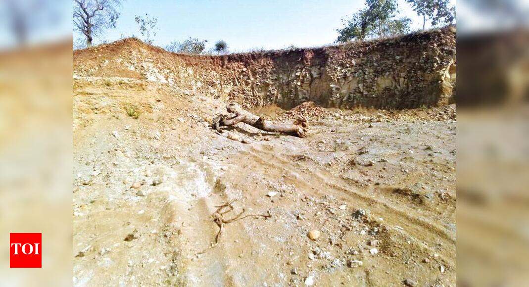 Forest dept confirms murrum excavation | Nagpur News - Times of India