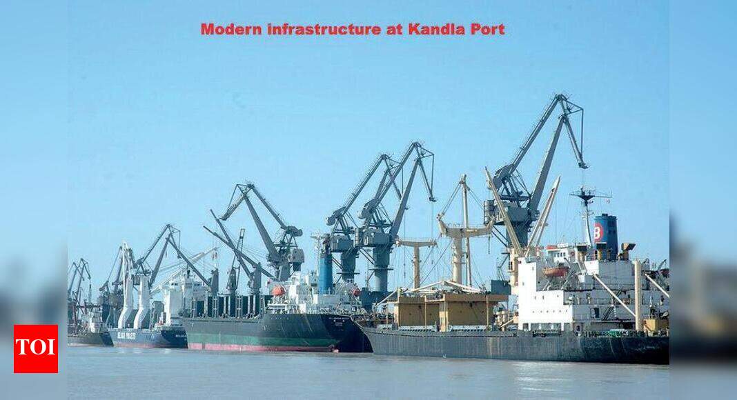 Kandla port surpasses last year’s cargo handling | Rajkot News - Times ...