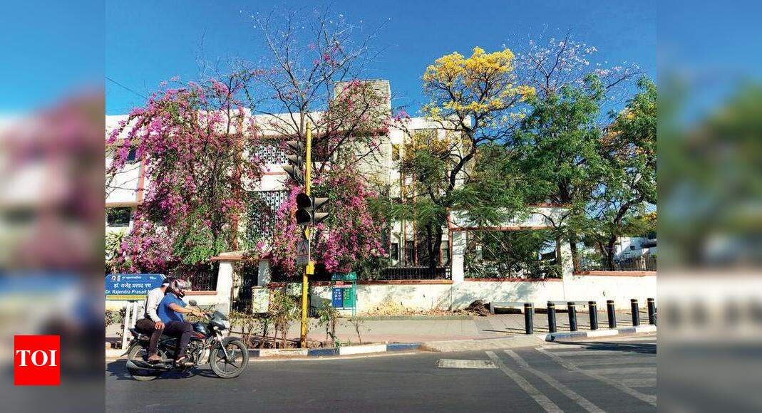 Temp drops by 3 degrees as cool northerly wind blows | Pune News ...