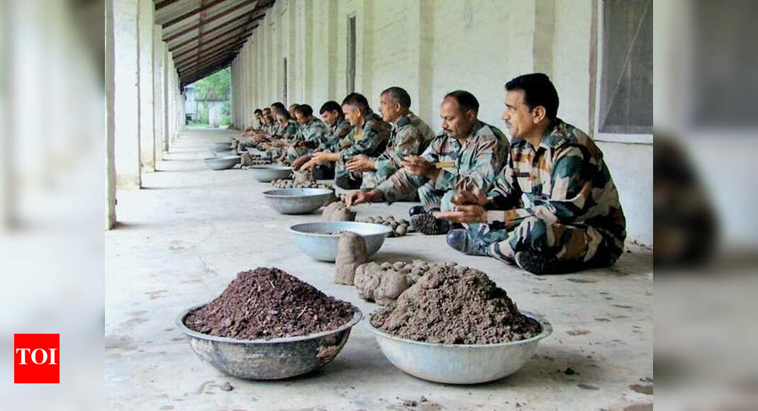Ganga task force using seed balls to raise forest cover | Prayagraj ...
