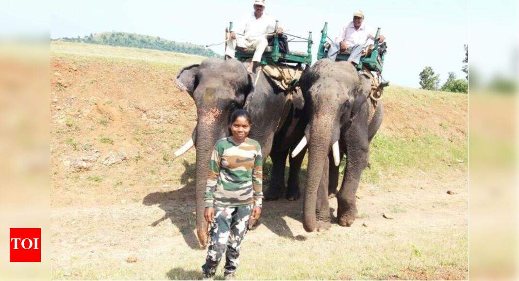 Forester Who Traced Avnis Cubs Gets National Tiger Bodys Reward