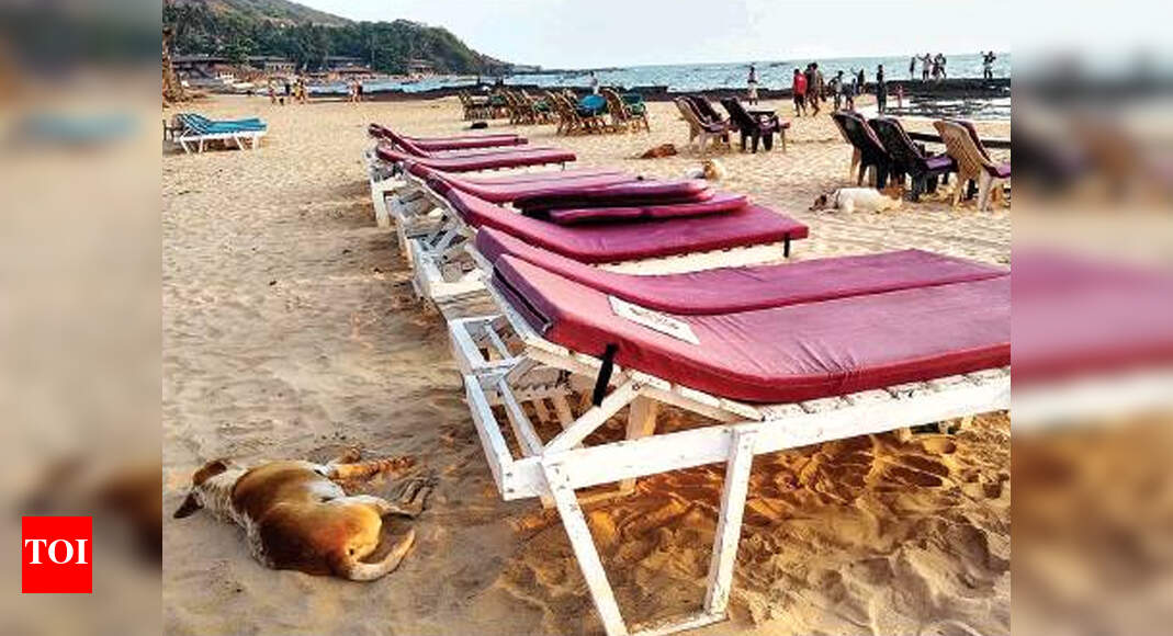 Covid-19 threat: Rs 1,000 crore loss to hit tourism sector, says Goa ...