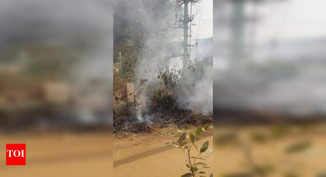 DESTROYING TREES - Times of India